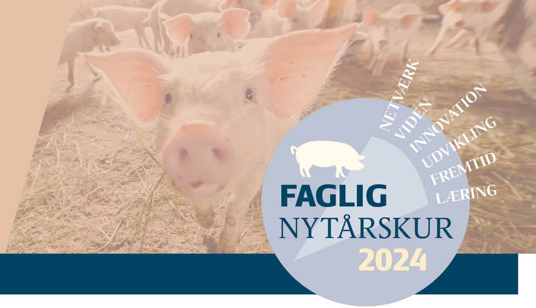 Faglig Nytårskur 2024 - viden og netværk for dansk griseproduktion ... Faglig Nytårskur 2024 - viden og netværk for dansk griseproduktion ...