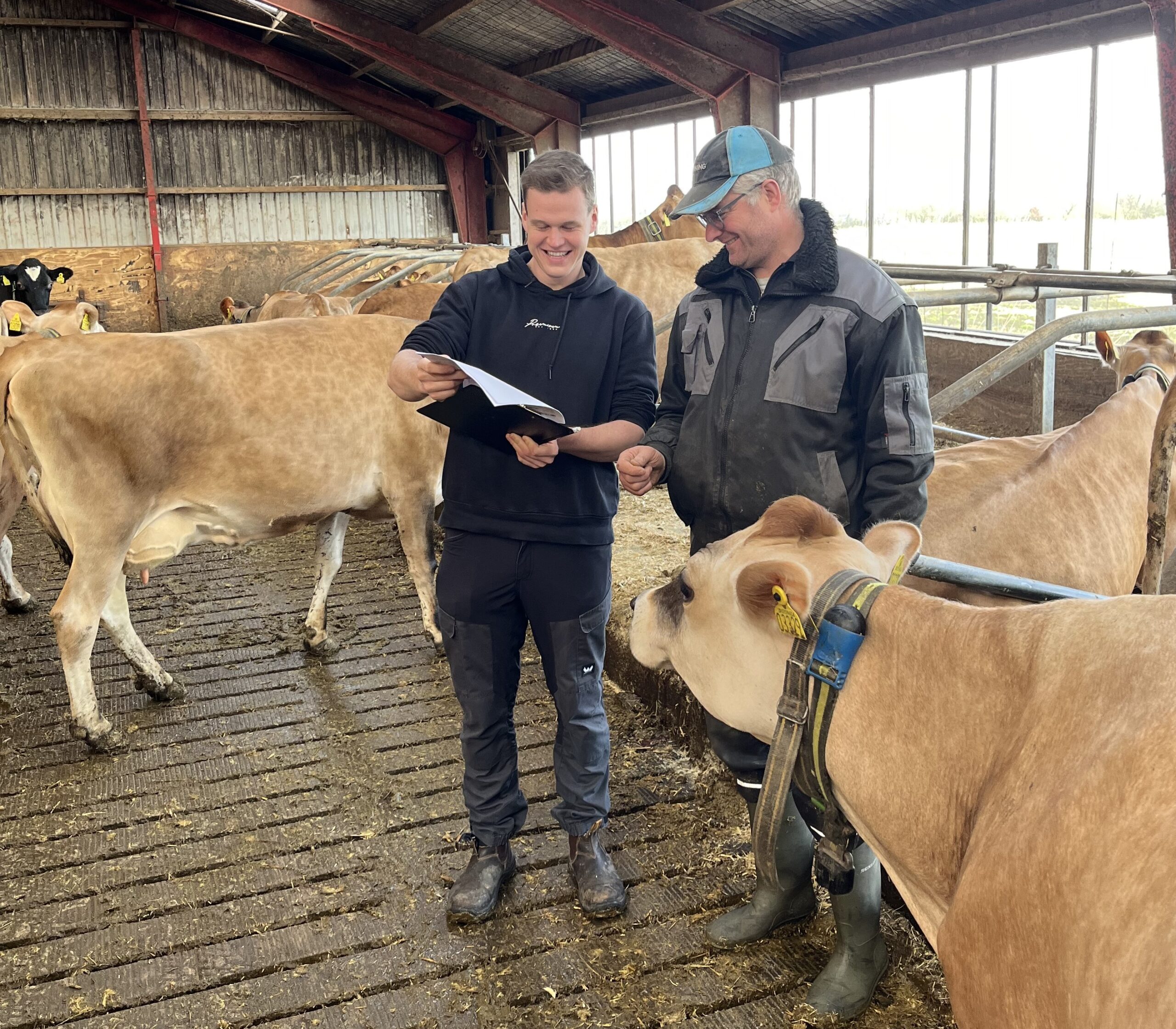 Velkommen til Emil Bonde Møller - volontør i vestjysk kvæg - Vestjysk 2025