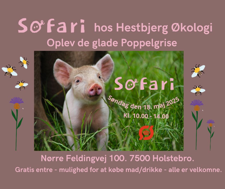Sofari - Oplev det økologiske griseliv - Vestjysk 2025